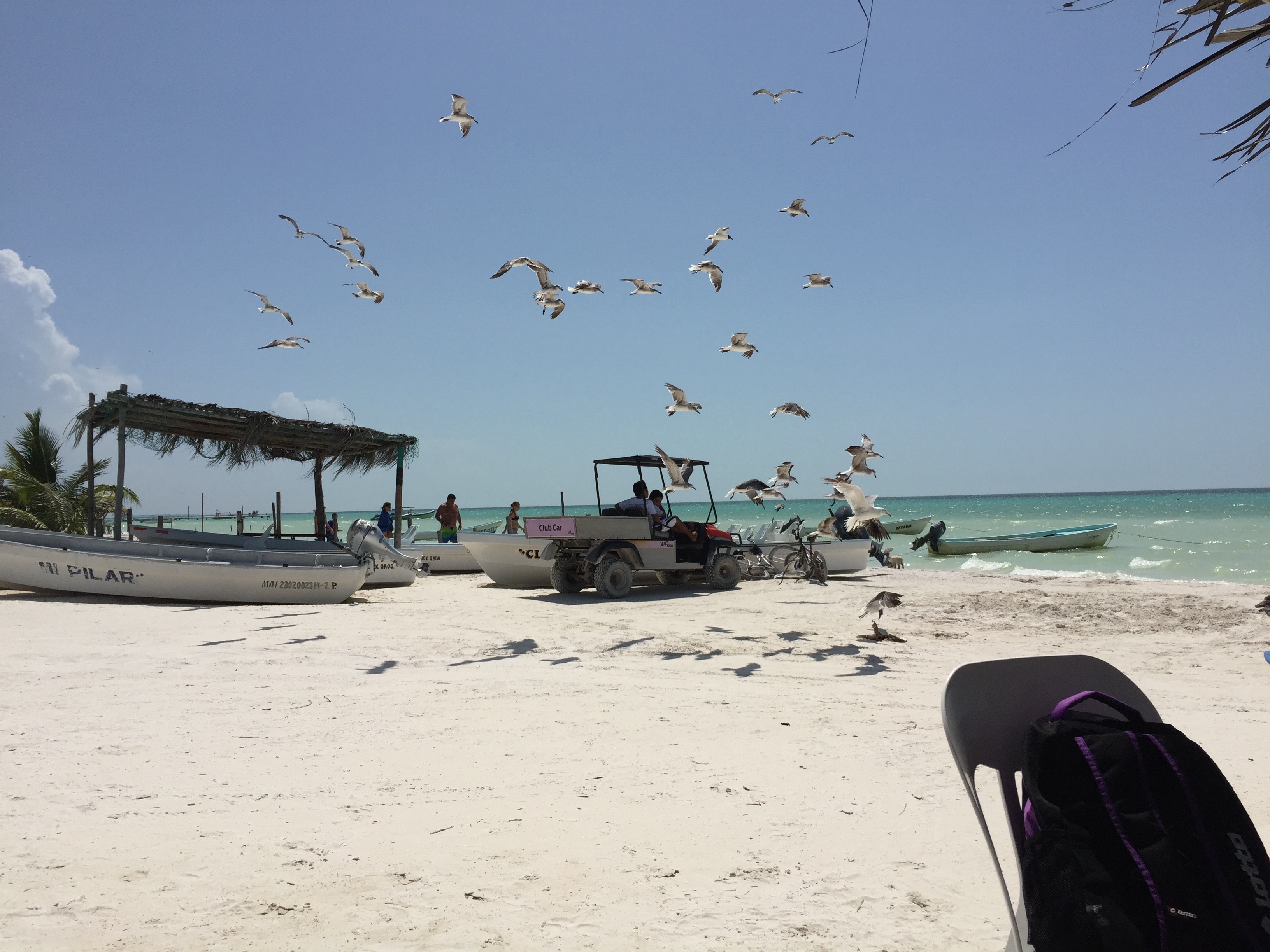 Holbox | jeff reeder