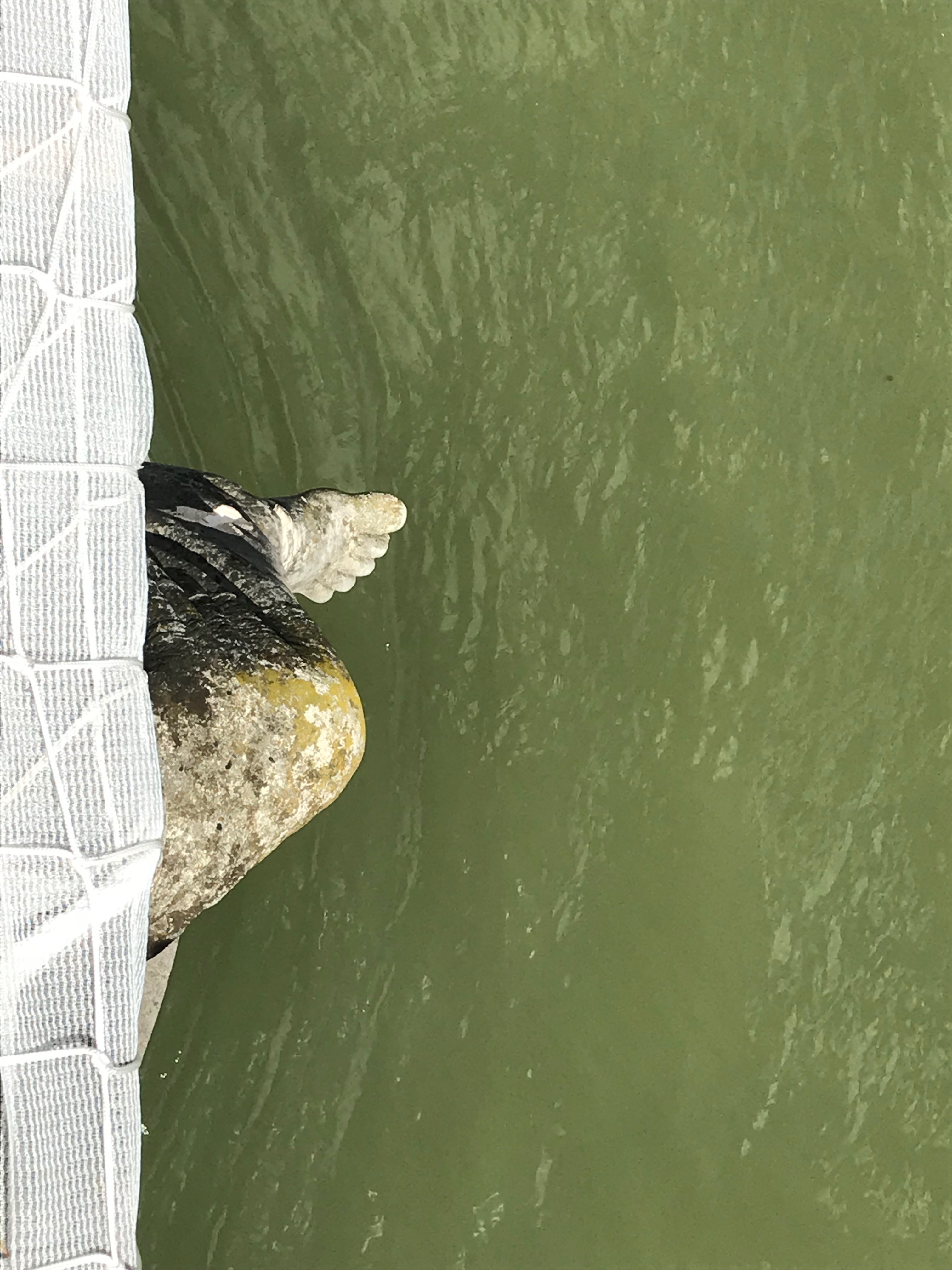 Wandering around | jeff reeder