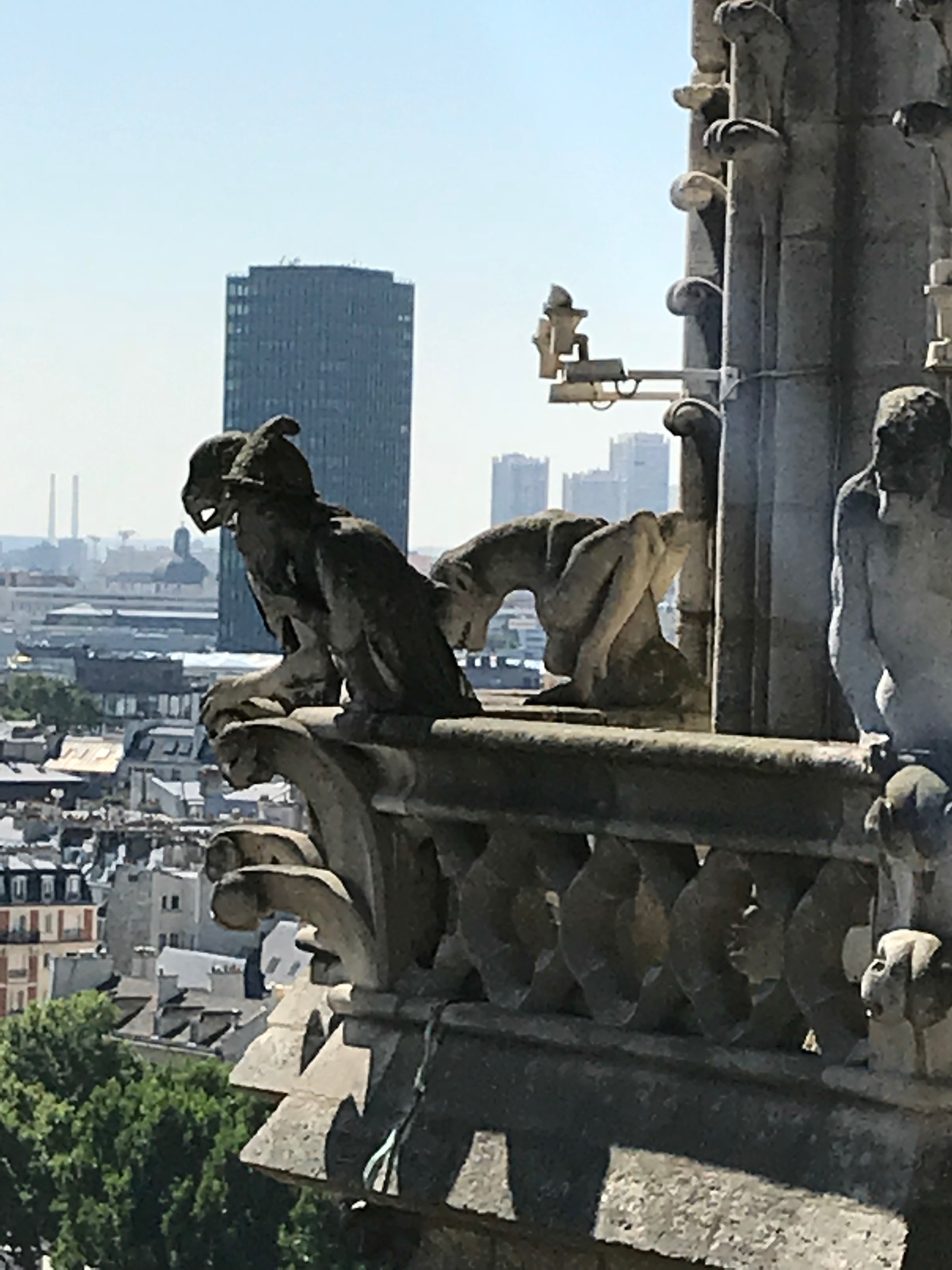 Notre-Dame de Paris | jeff reeder