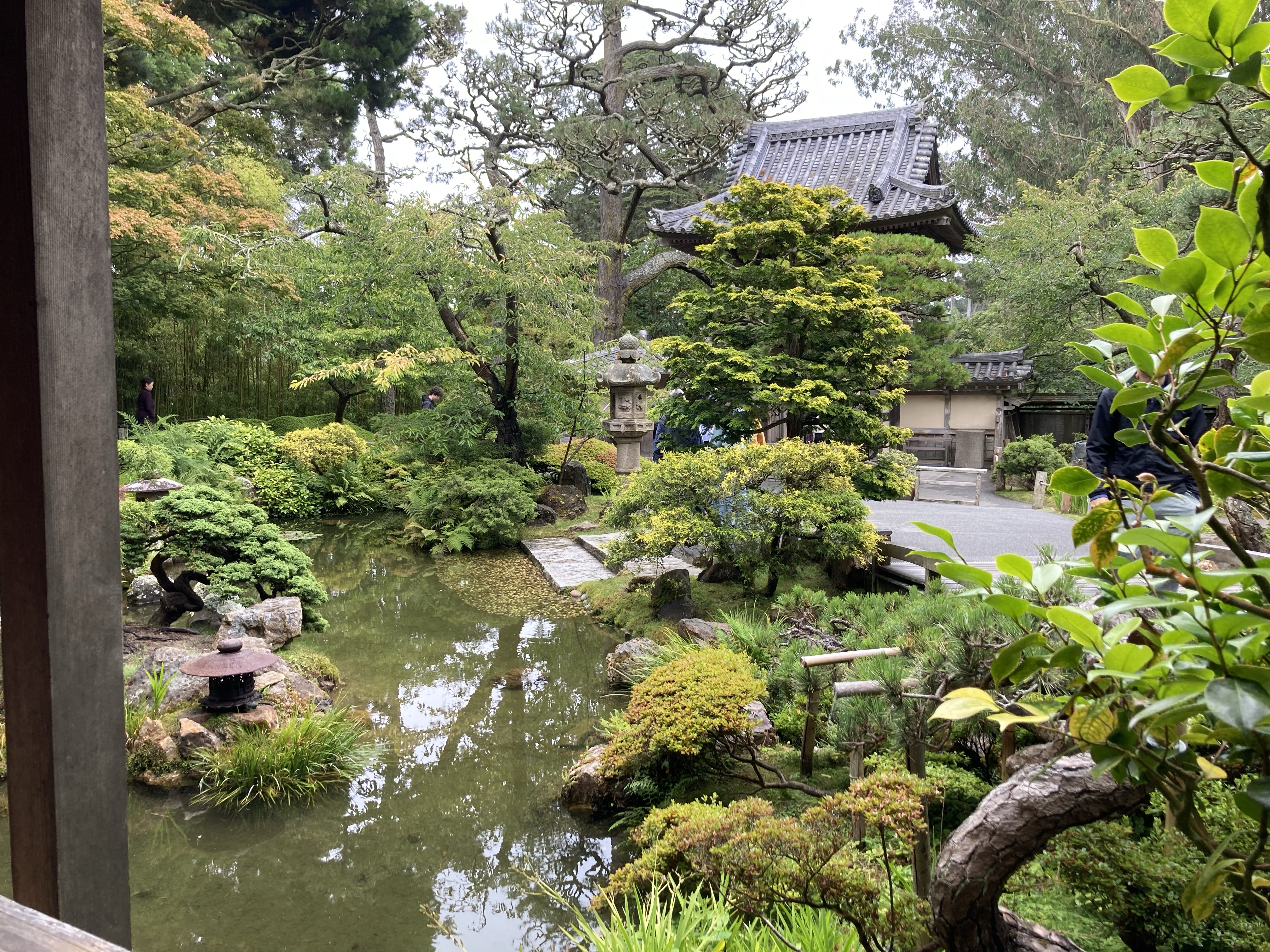 Botanic gardens | jeff reeder